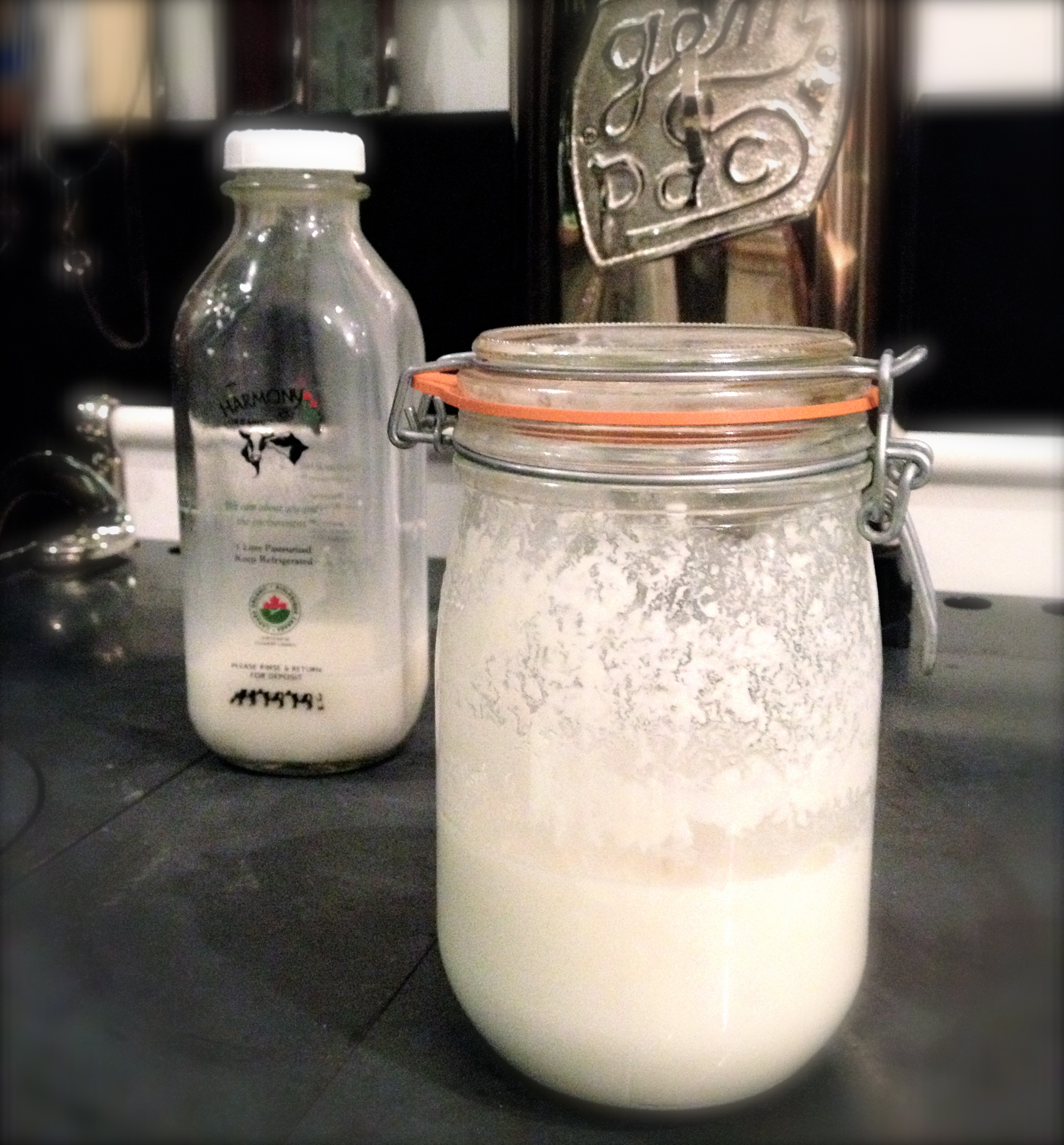 Kefir: Foundation Drink No. 3 | Sofa King Next Level
